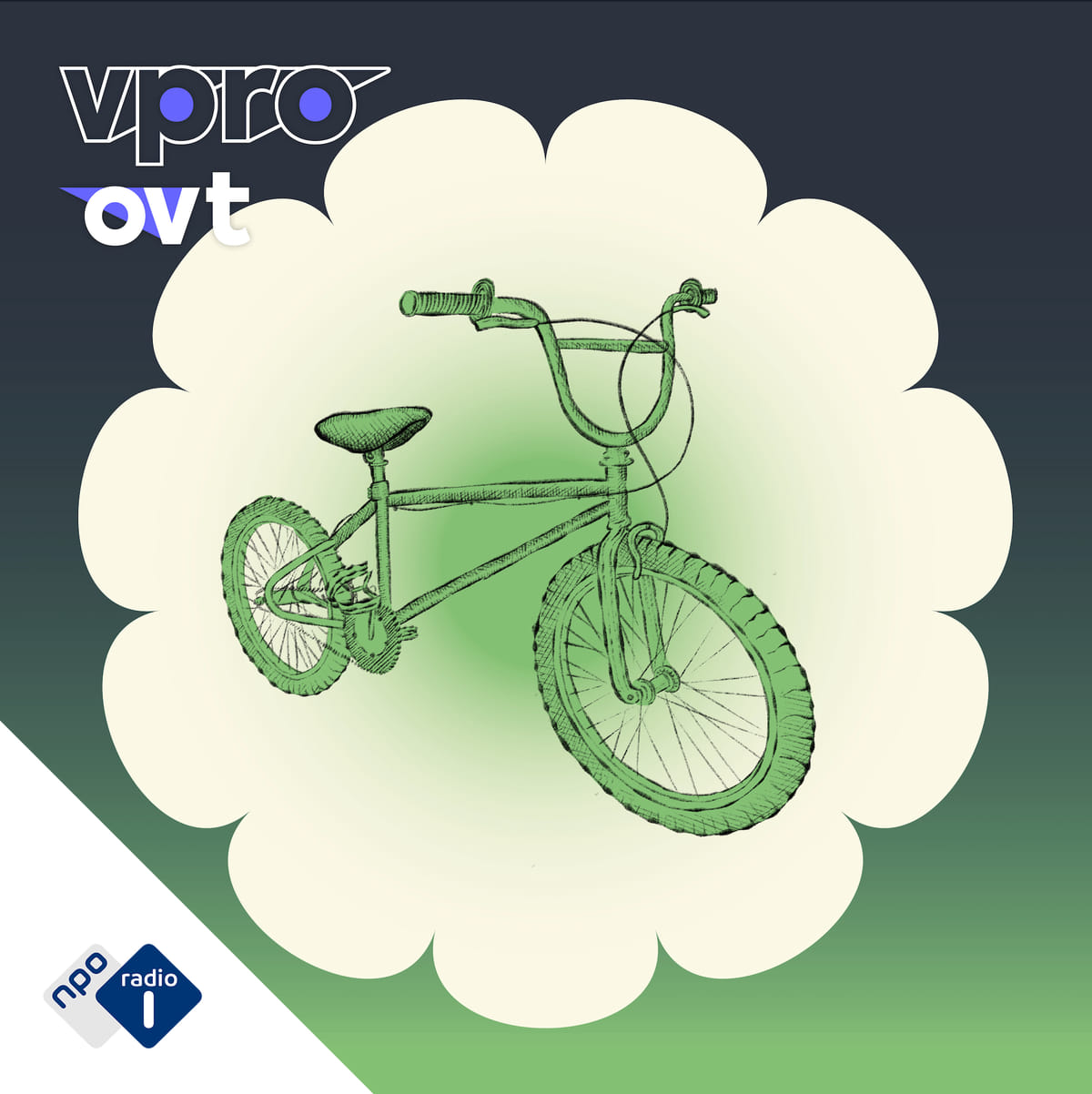 De 11 stemmen van Srebrenica #7: Azemina - vasthouden en nooit loslaten ...