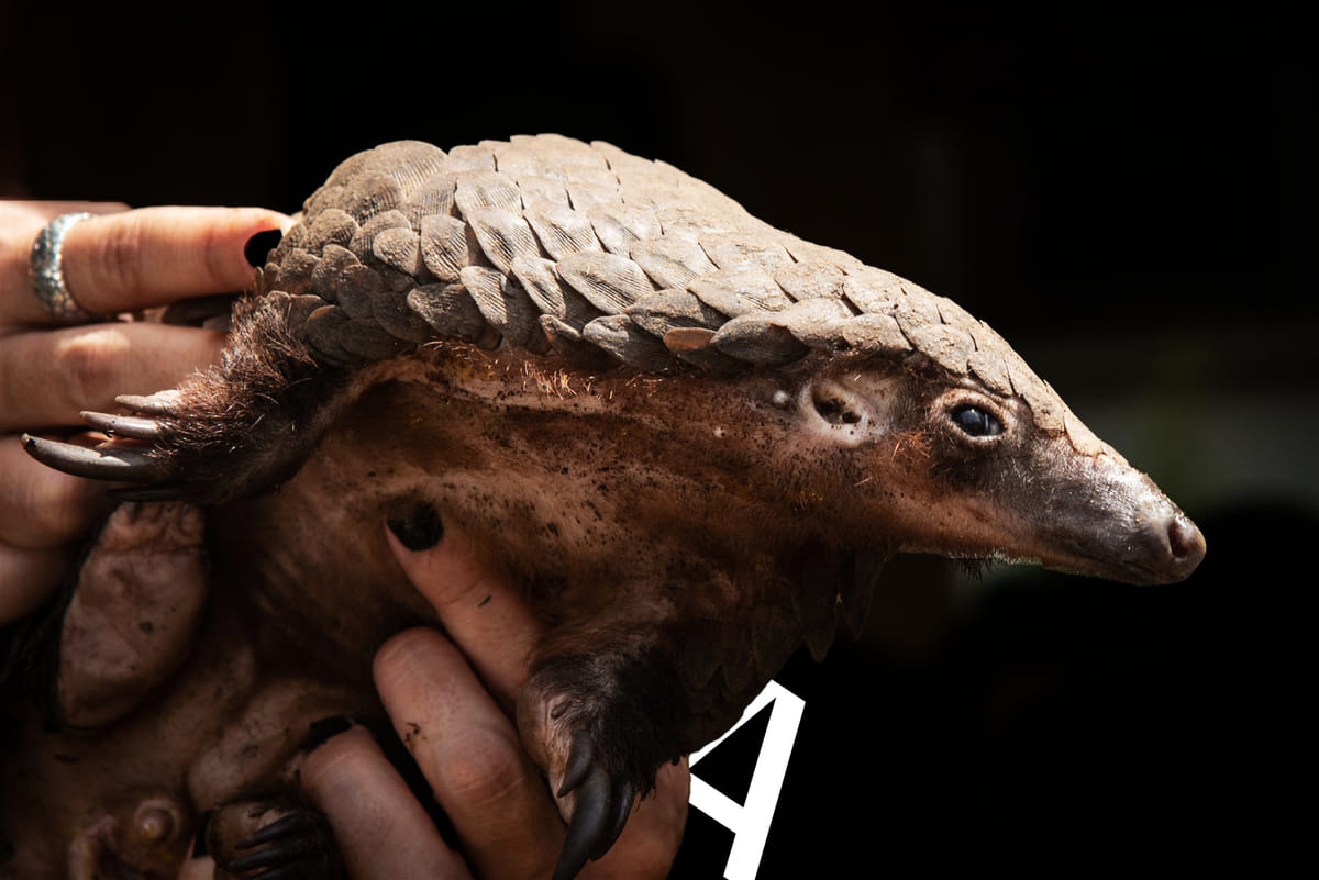 Wilde winst | Argos - onderzoeksjournalistiek - HUMAN/VPRO