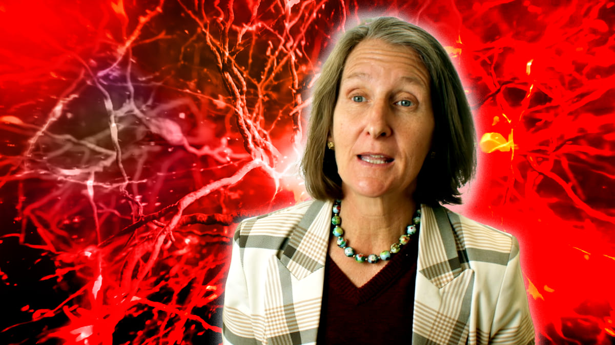 Dit doet dopamine met ons brein en zo krijg je je cravings onder ...